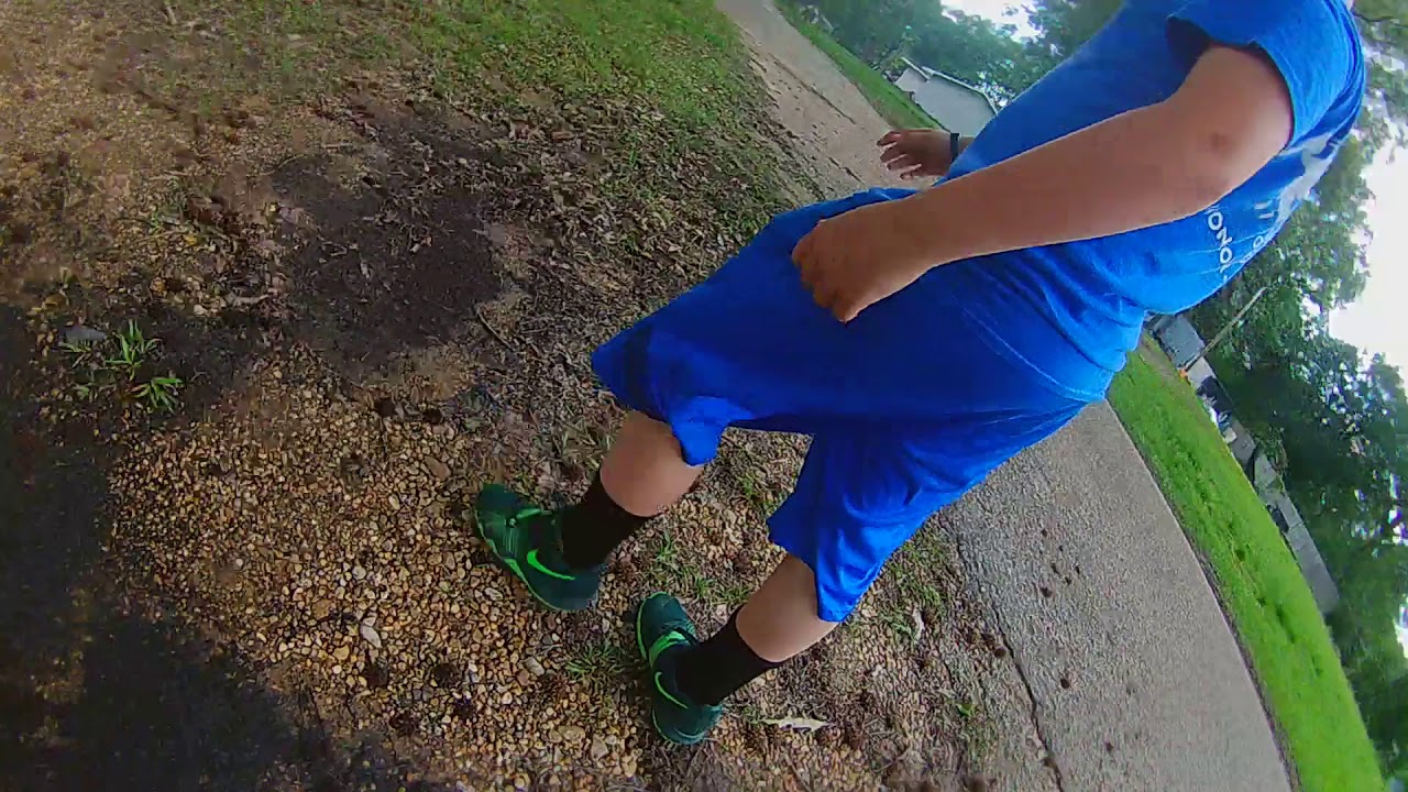 Looking for animals| WAIT TO SEE WHAT WE FOUND - YouTube