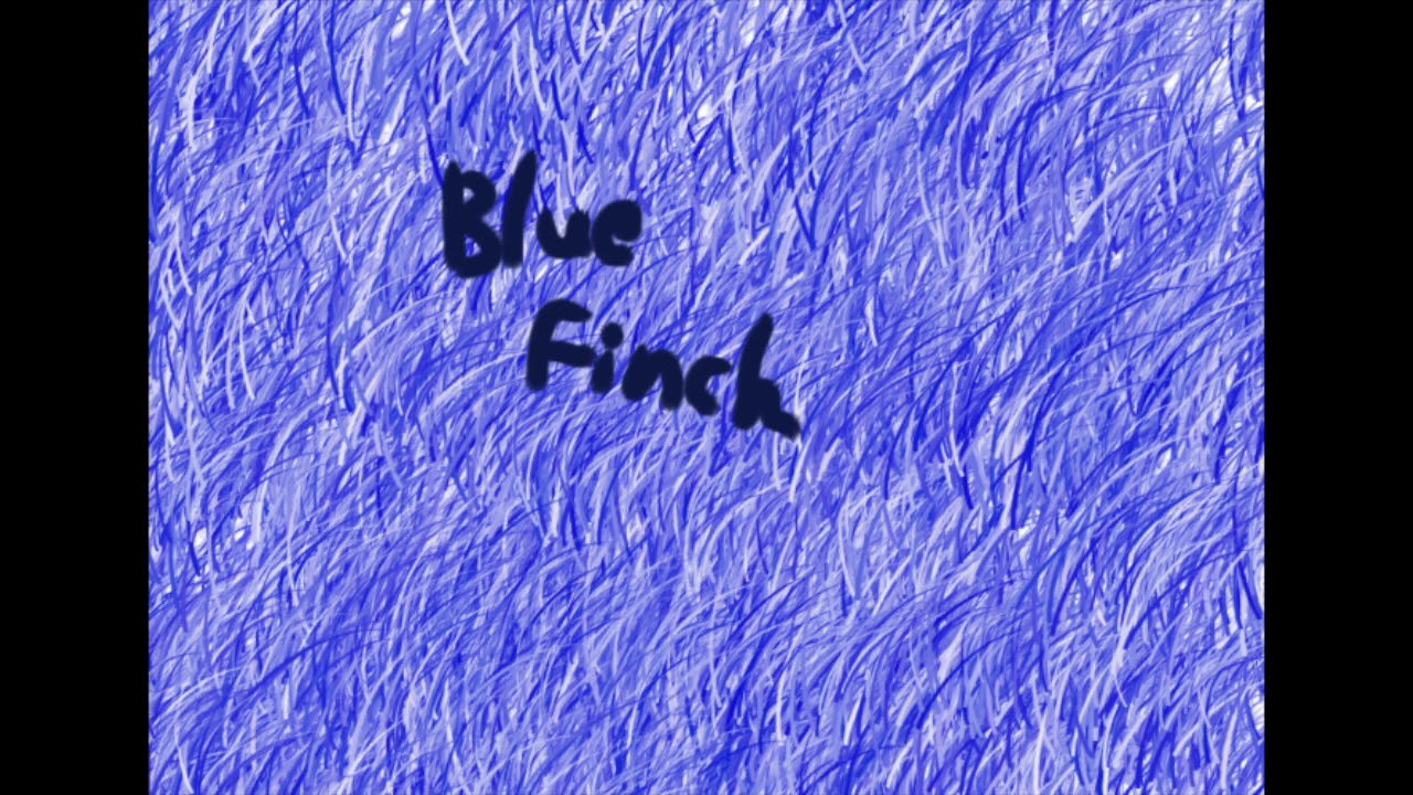 Blue Finch (Official audio) lyrics in the description - YouTube