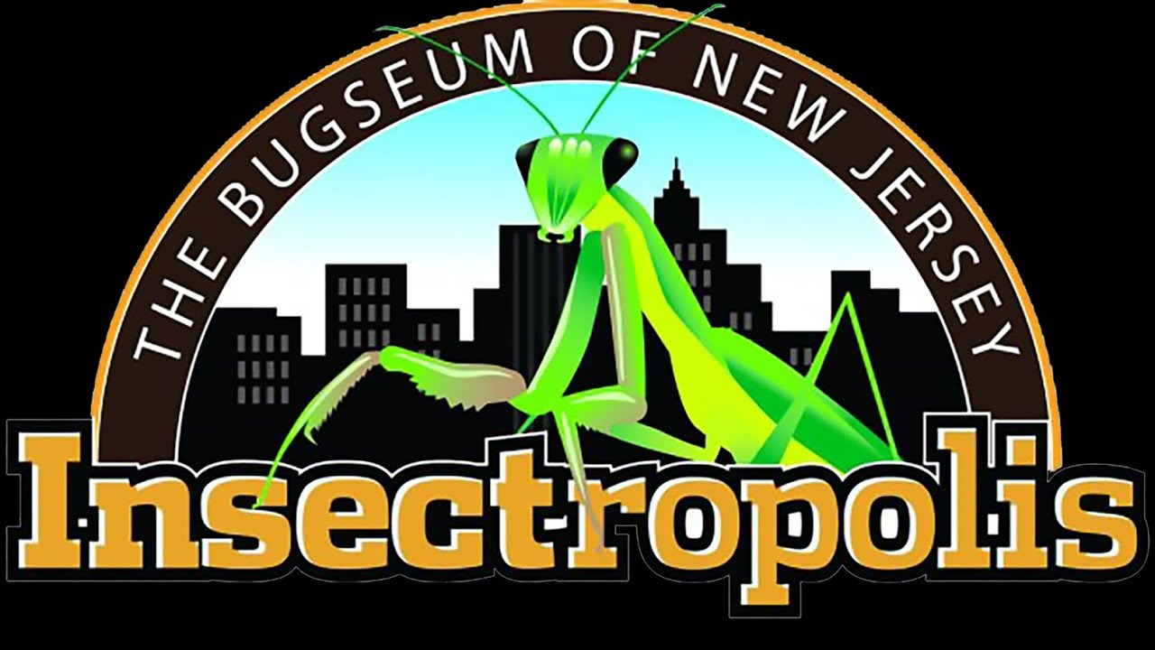 Insectropolis - Bugseum of New Jersey (Full Tour) - YouTube