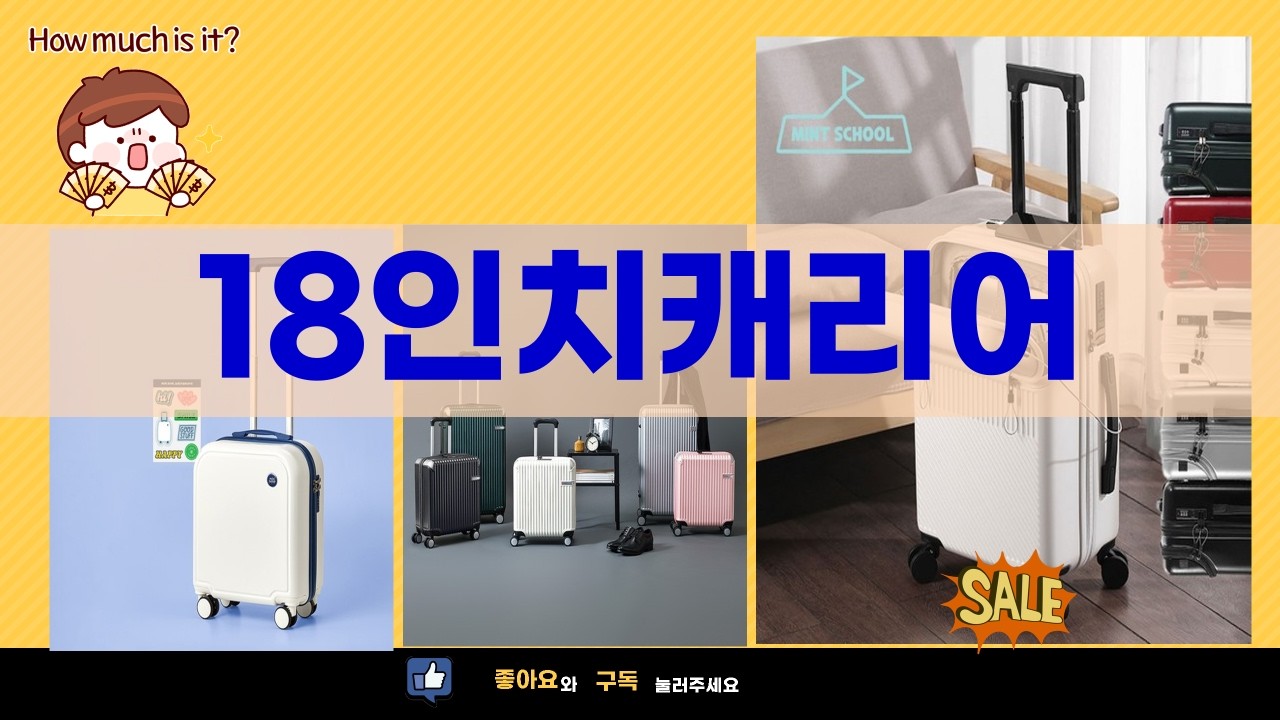 가성비 18인치 캐리어 끝판왕! 마츠리센 vs Chephie vs 모던하우스 비교분석 - YouTube