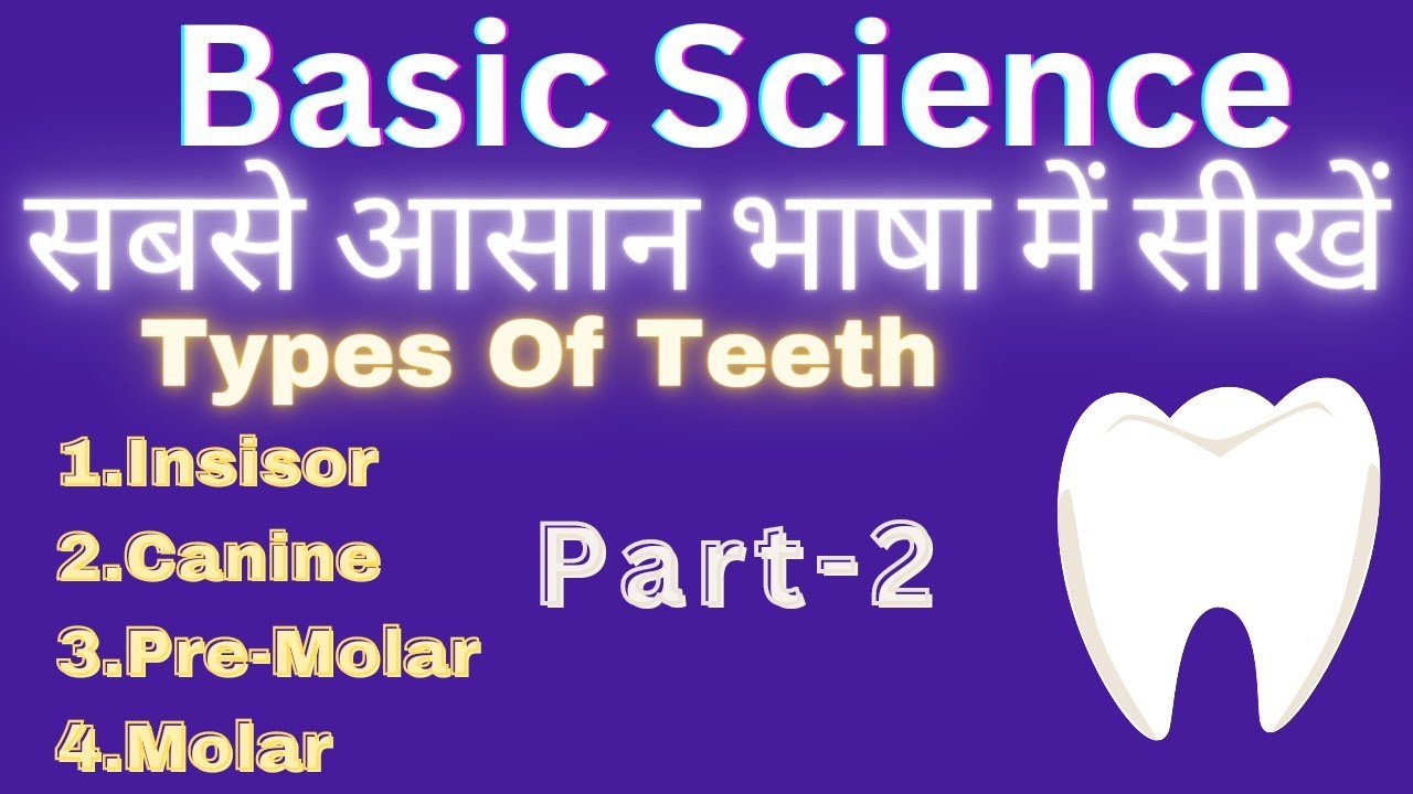 Basic Science | Teeth | दुनिया का सबसे आसान भाषा में सीखें | Types Of ...