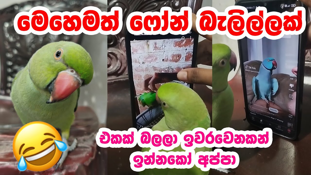 එකක් බලලා ඉවරවෙනකන් ඉන්නකො අප්පා | @Talk_With_Rio - YouTube