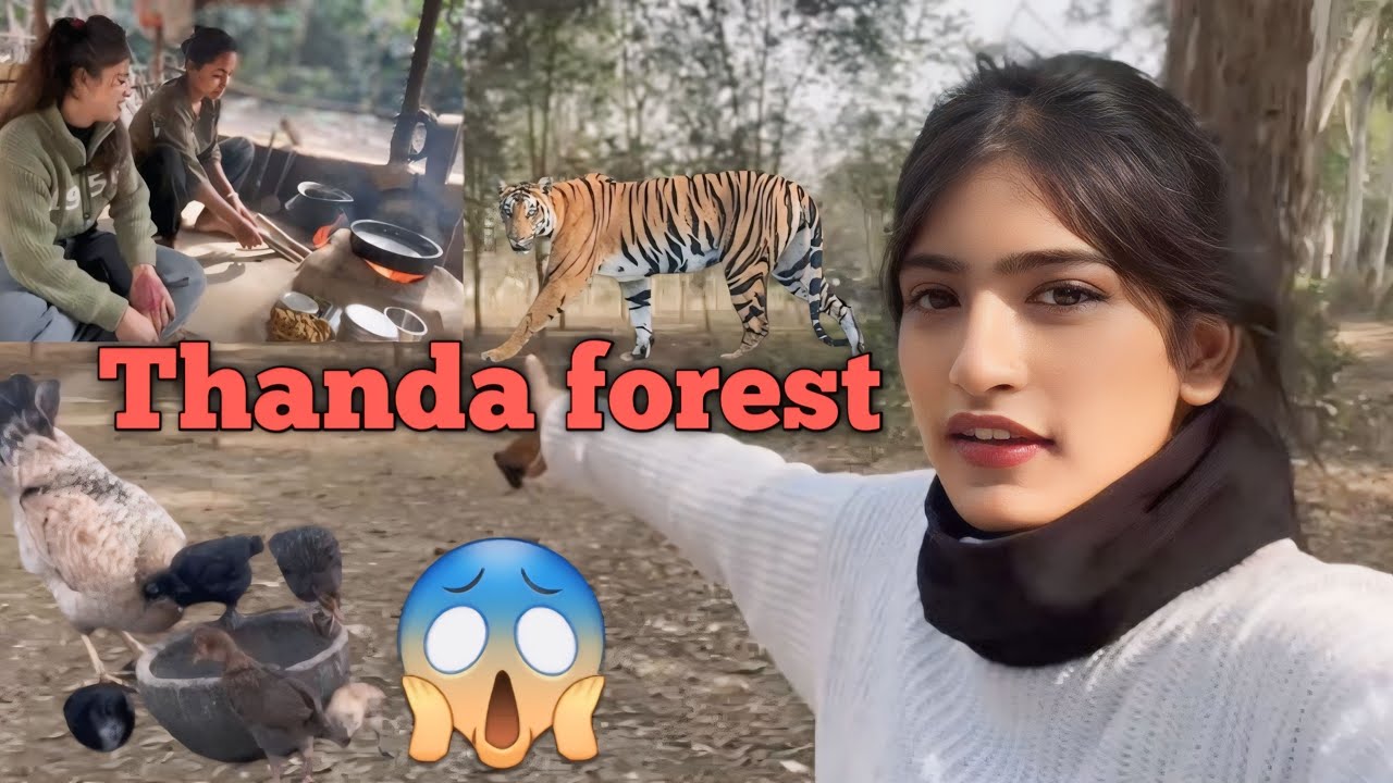 Today we met the Banjaras of Tanda ️😣 there life is very difficult 😥 #youtube #trending #forest ...