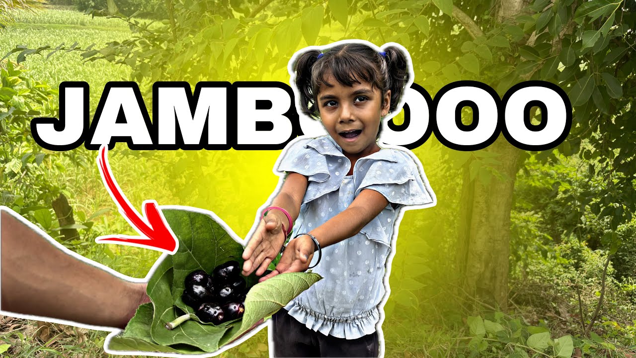 Fresh Jamboo Straight from Ped! So Tasty! 😋 - YouTube