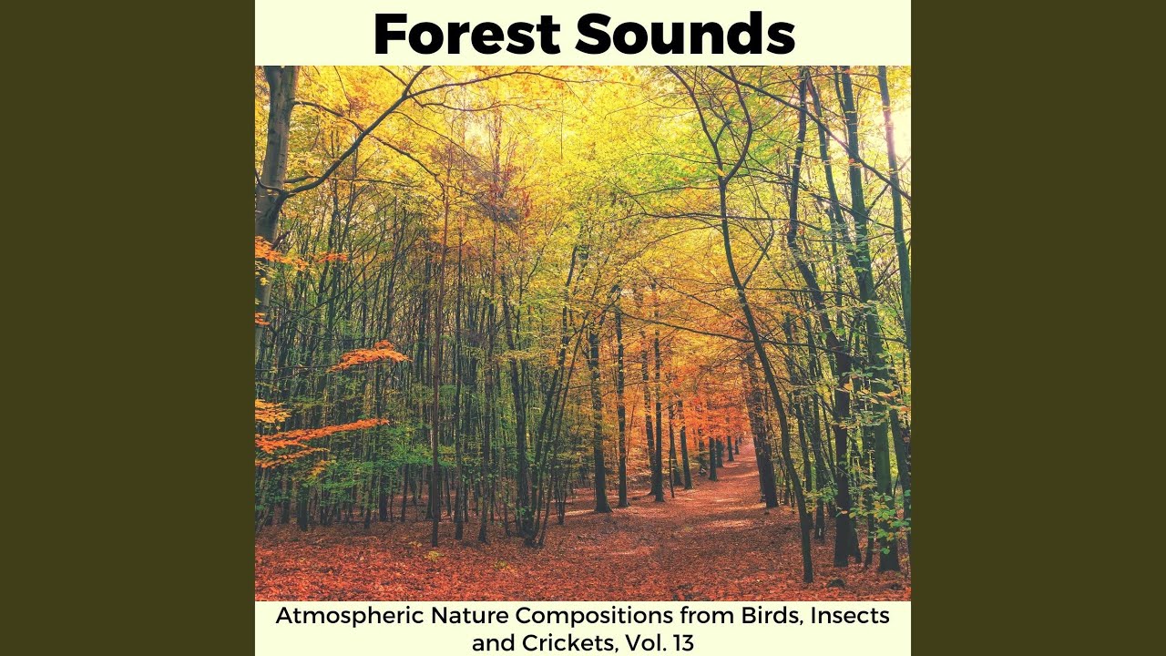 Semi Musical Insect Trill - YouTube