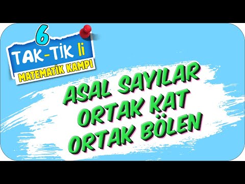 Asal Sayılar, Ortak Kat - Ortak Bölen | Tak-Tik’li Matematik Kampı #2021