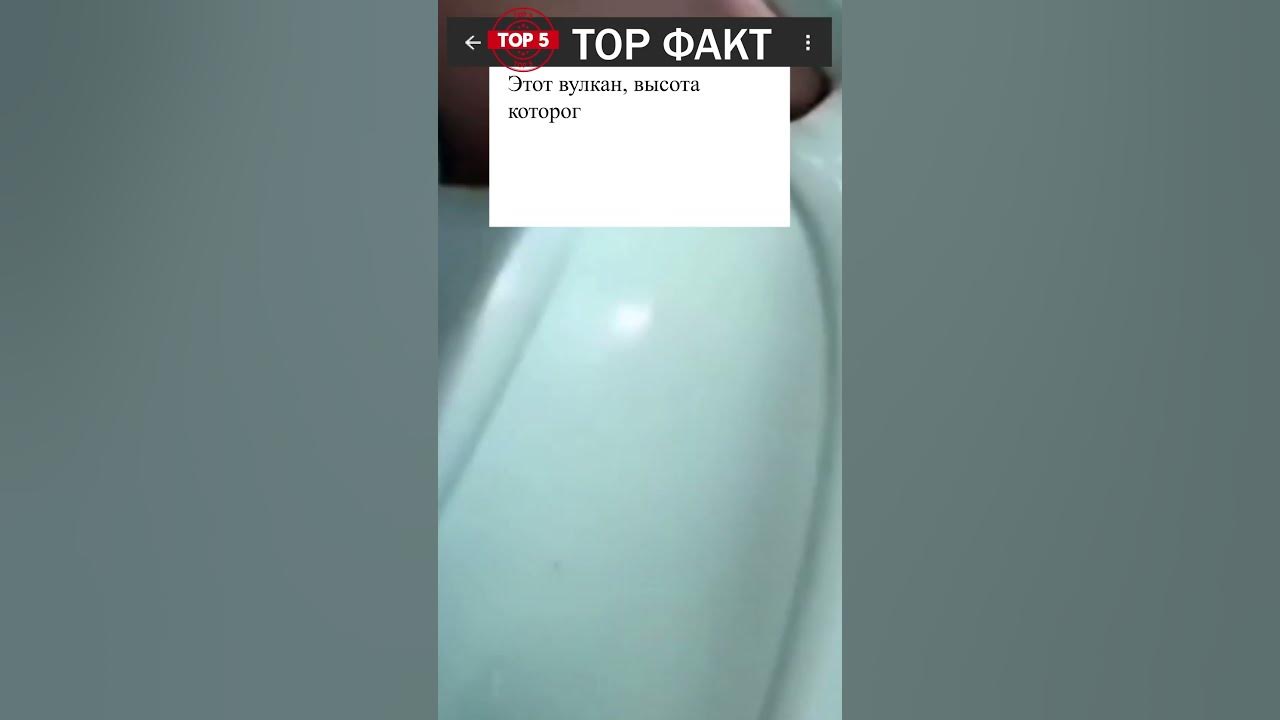 На острове Ява интересно топ рофлы топ5 реддит мемы факты факт