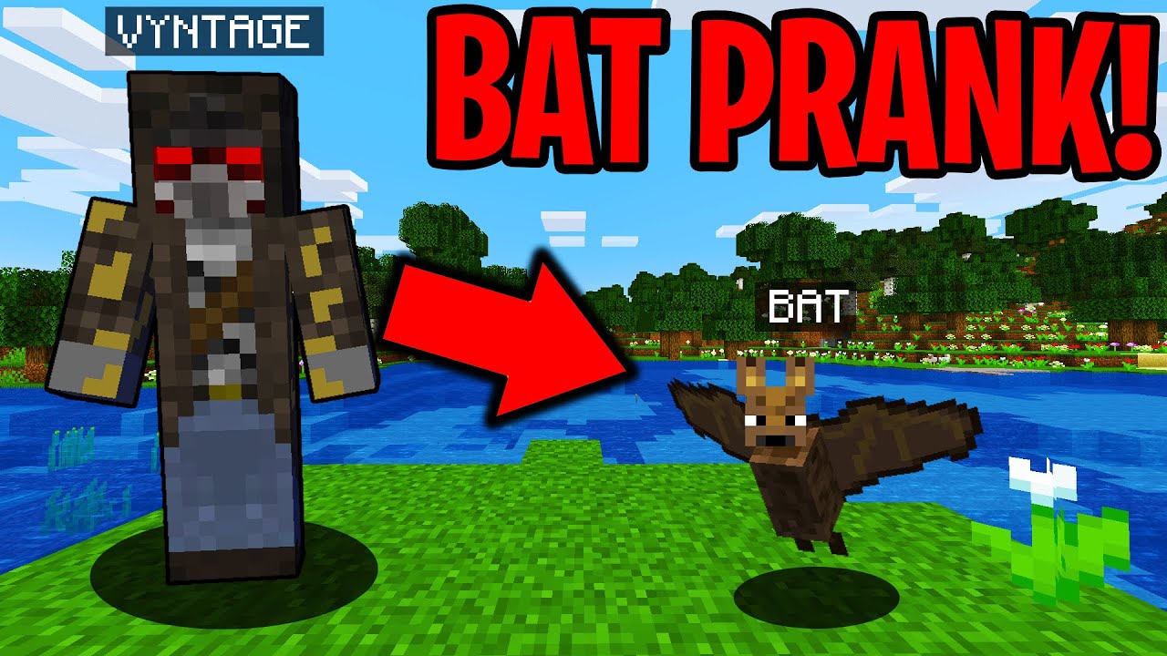 TROLLING AS A BAT IN MINECRAFT! - YouTube