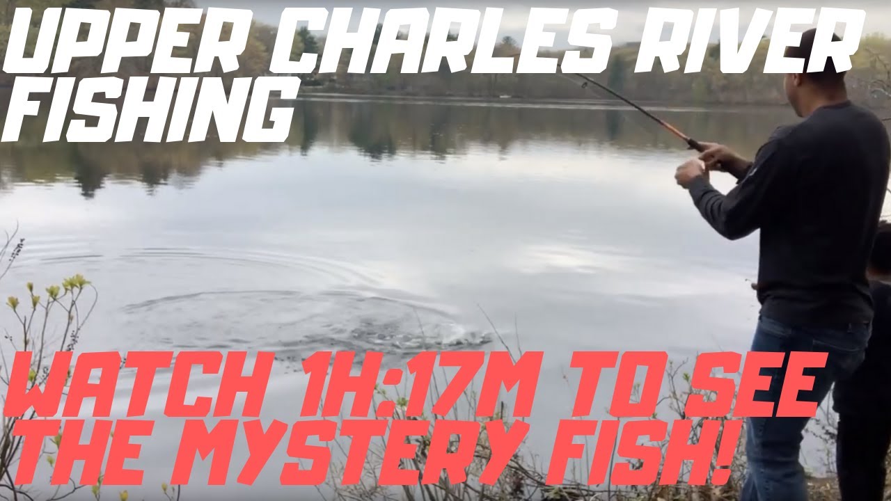 Upper Charles River Fishing - Waltham, MA 5/4/2019 - YouTube
