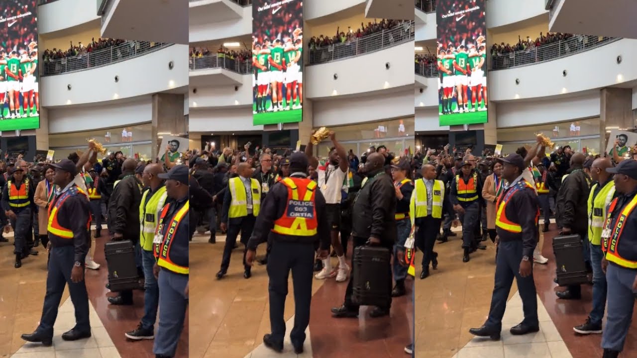 Springboks arrive, crowd goes wild | NEWS IN A MINUTE - YouTube