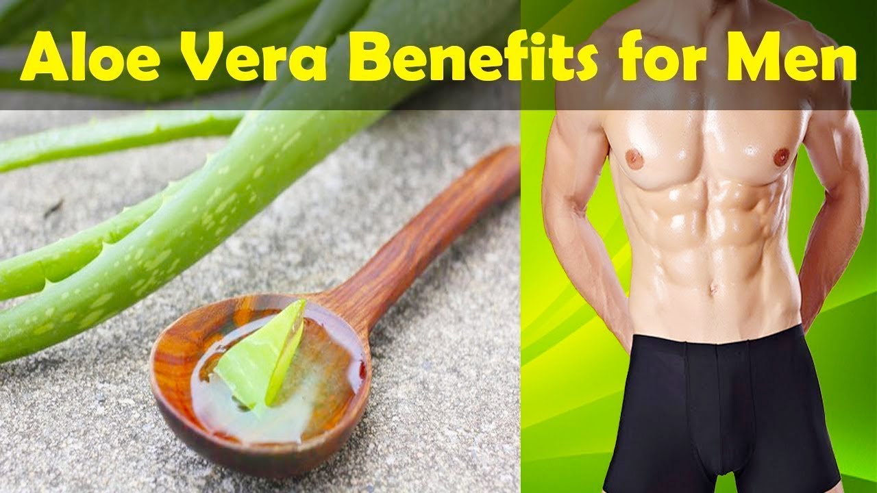 Why Aloe Vera Good For Men Benefits Of Aloe Vera Gel For Male Aloe Vera For Men Youtube