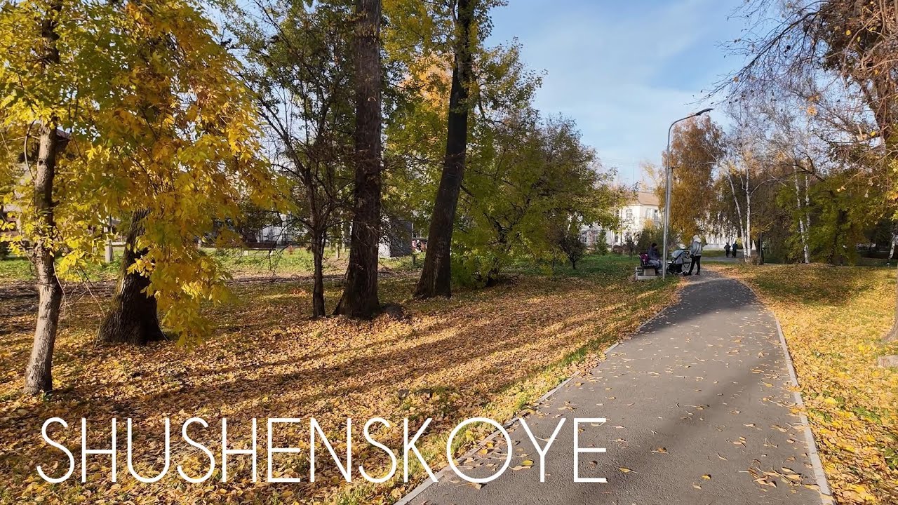 Evening Walk in the Autumn Park. Shushenskoye October 2024 - YouTube