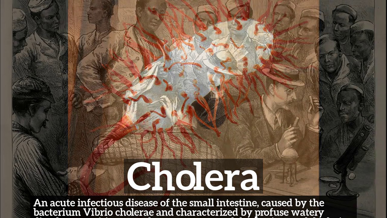 How to Say Cholera in English? | What is Cholera? | How Does Cholera ...