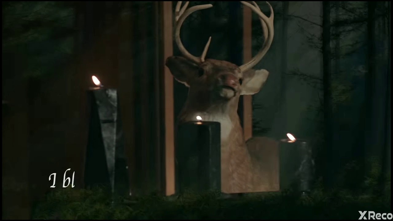 "Meah" the music video about deer getting dispatched. - YouTube