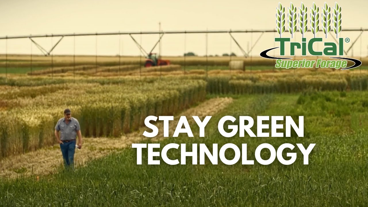TriCal's 'Stay Green' Technology with Lance Spragins - YouTube