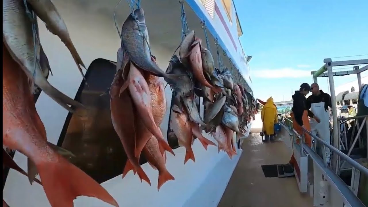 Gran pesca mar adentro en Norte Carolina - YouTube