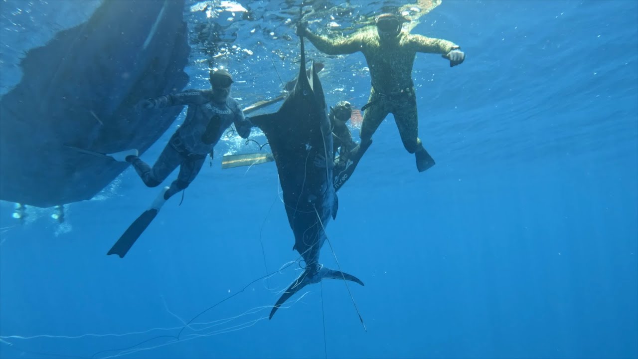 North Bali Spearfishing 2023 - YouTube