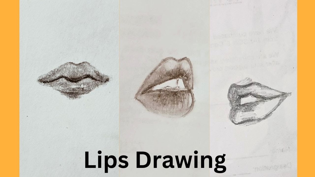 How to draw lips step by step/lips drawing pencil shading - YouTube