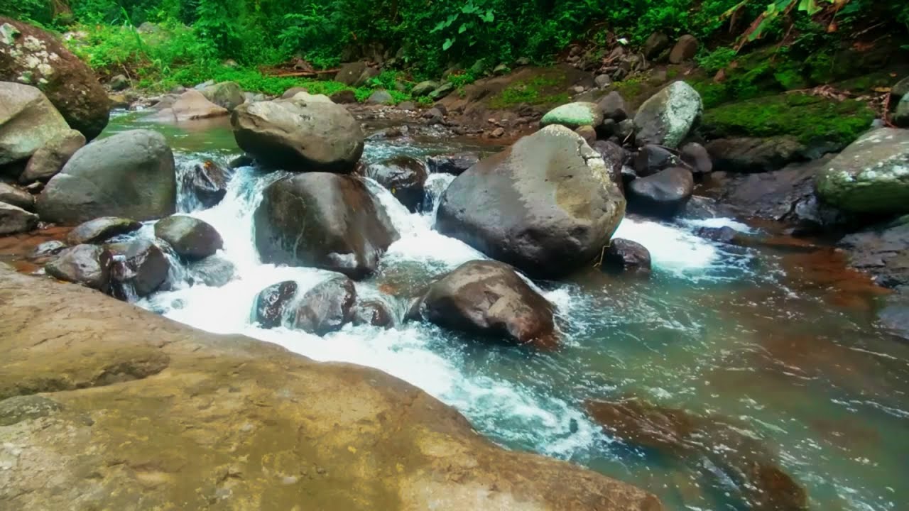 Meditation with Rainforest Triggers immediate cooling and calming ...