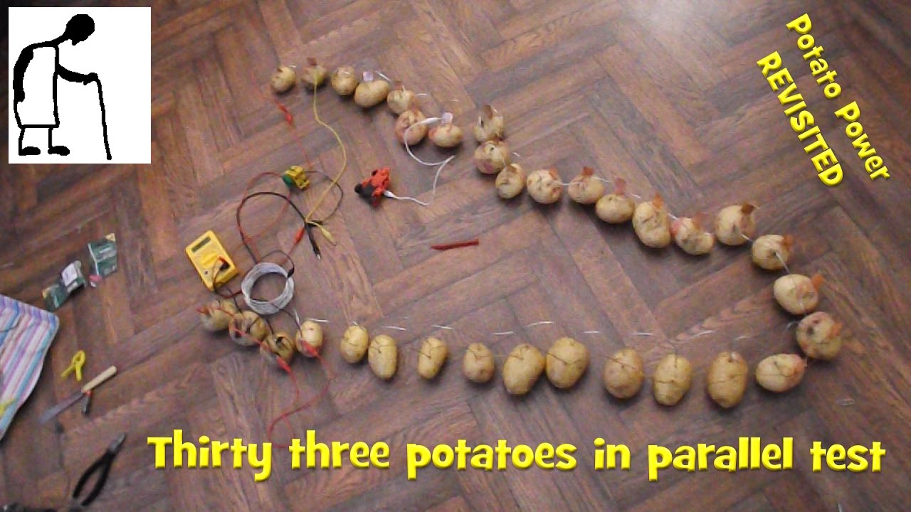 Potato Power revisited PART #8 Thirty three potatoes in parallel test ...