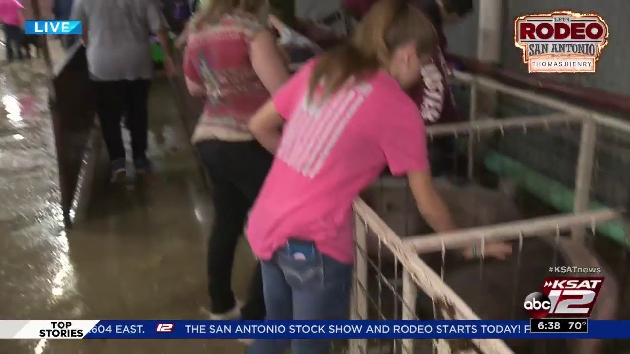 Ready to kick up your boots? San Antonio Stock Show & Rodeo kicks off ...