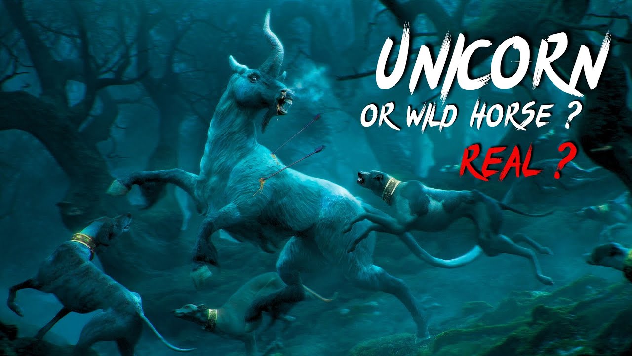 Did Unicorns REALLY Exist? Decoding History's Myths 📜 - YouTube
