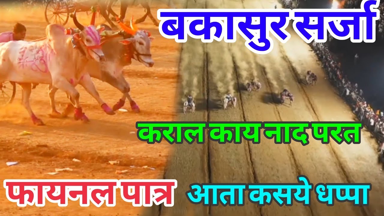 मी अजून संपलो नाही आणि संपणार नाही बकासुर सर्जा श्री नाथ केसरी फायनल ला ...