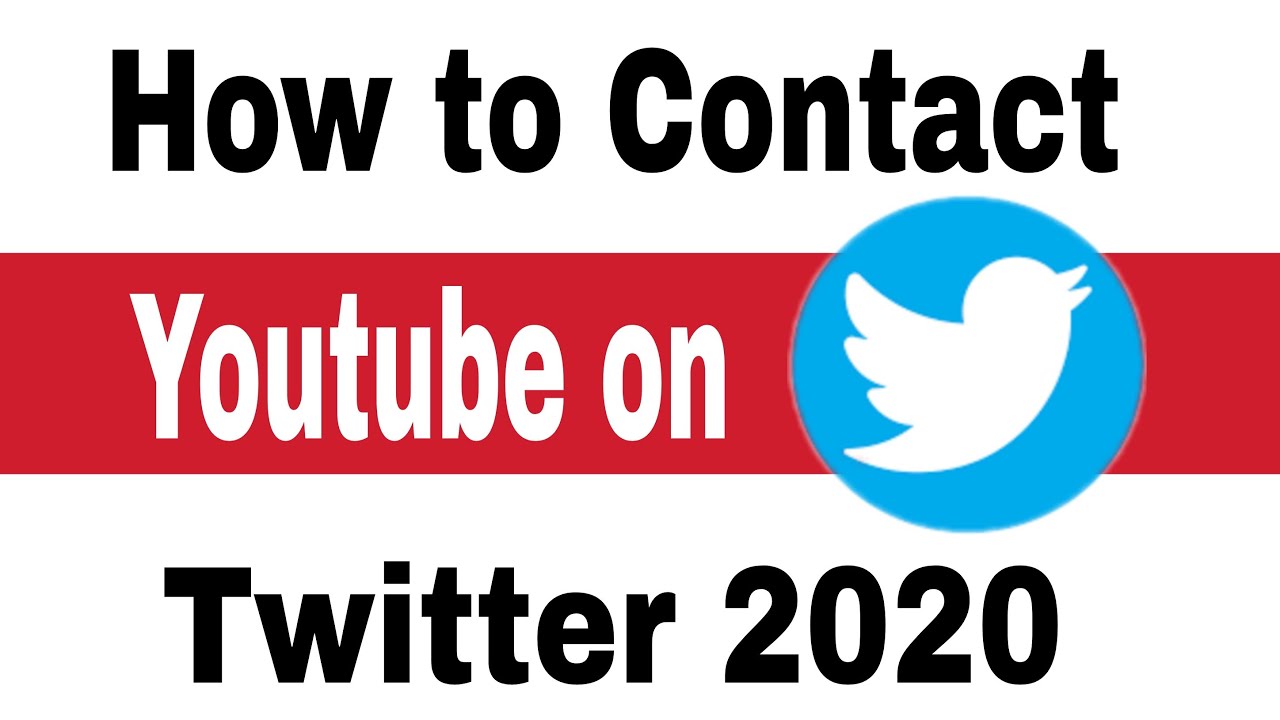 How to contact YouTube on twitter | How To Contact YouTube Team By ...