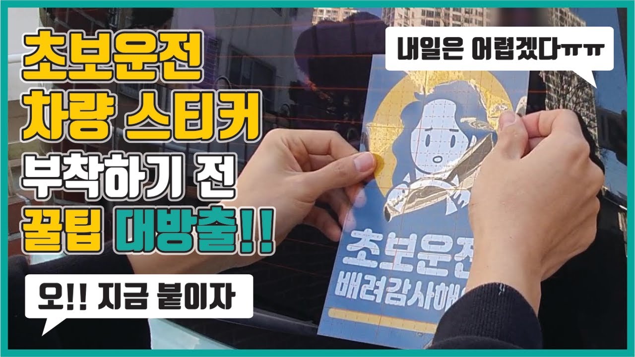초보운전 차량 스티커 부착하는 때가 따로 있다꿀팁자동차 안전운전위급시 아이먼저임산부가 타고있어요 Youtube