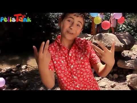 علی  كوردستان  - Ali Kurdistan