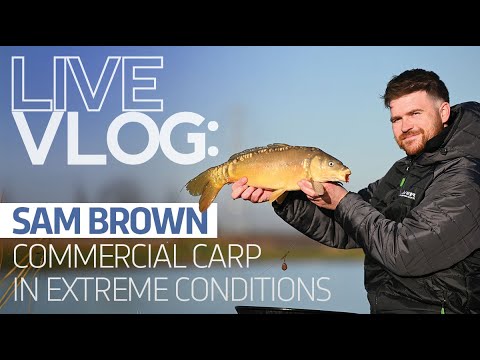 Live Vlog | Sam Brown | Marston Fields Fishery | Match Fishing - YouTube