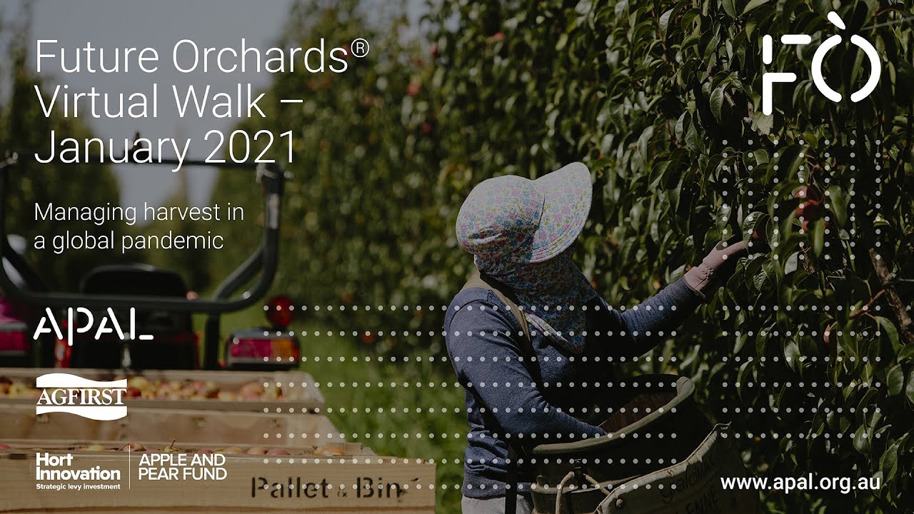 Future Orchards Walk - Jan 2021 - YouTube