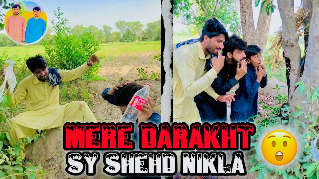 Mere Darakht Se she’d Nikla!!😍 - YouTube