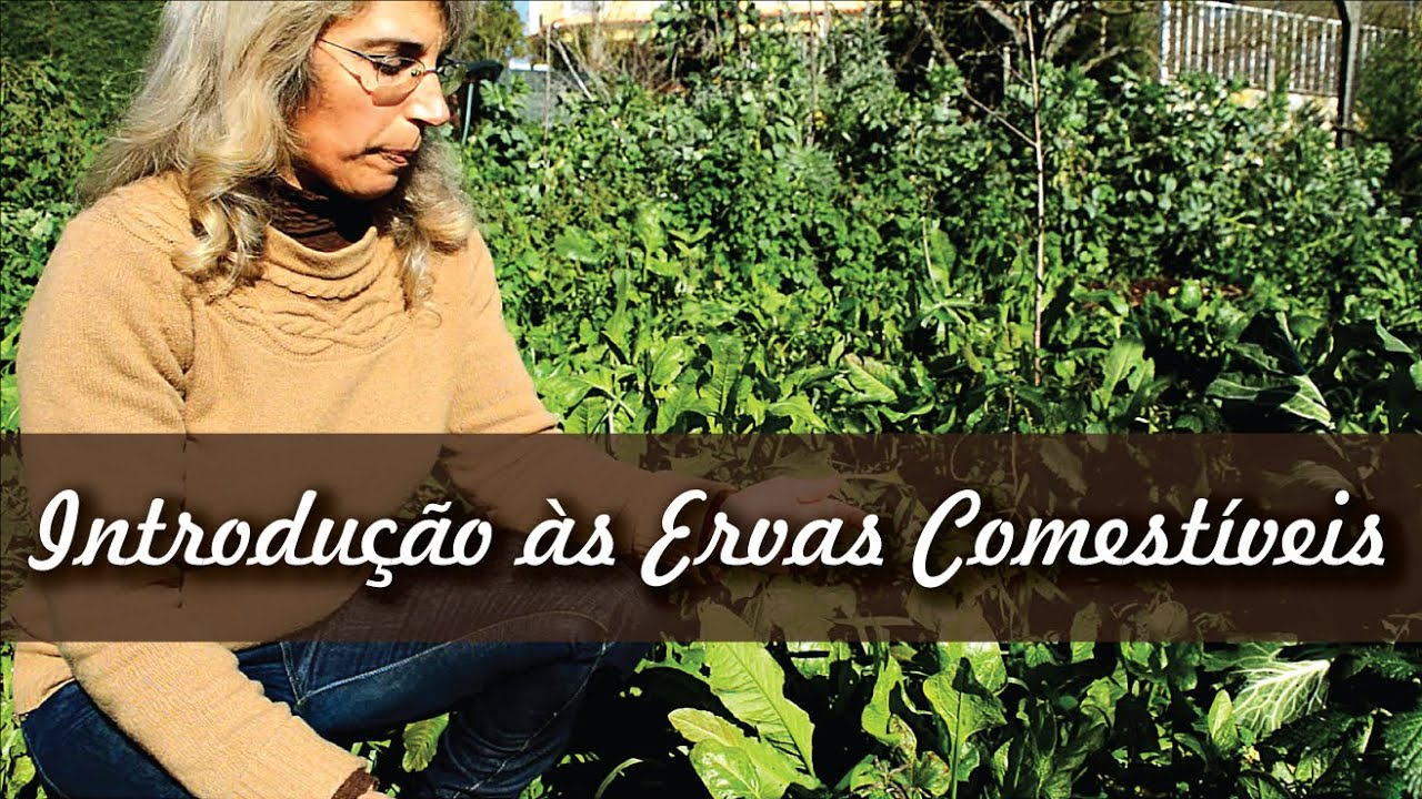 Introdução às Ervas Comestíveis | Introduction to Edible Herbs - YouTube