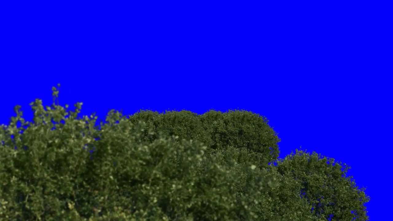 flying over the green trees best free blue screen footage - YouTube