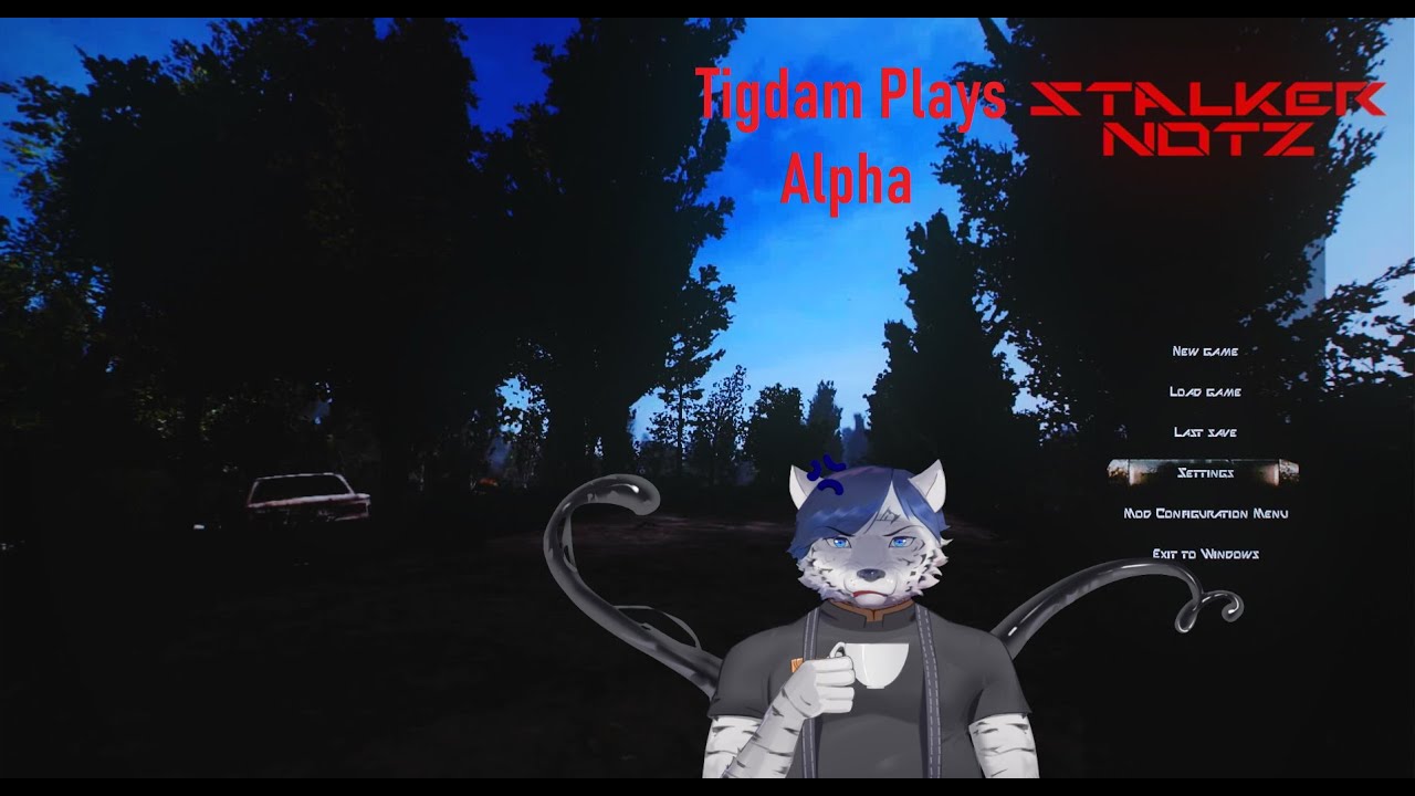 STALKER NOTZ | New Anomaly Modpack | Alpha Gameplay | Episode Five Duty ...