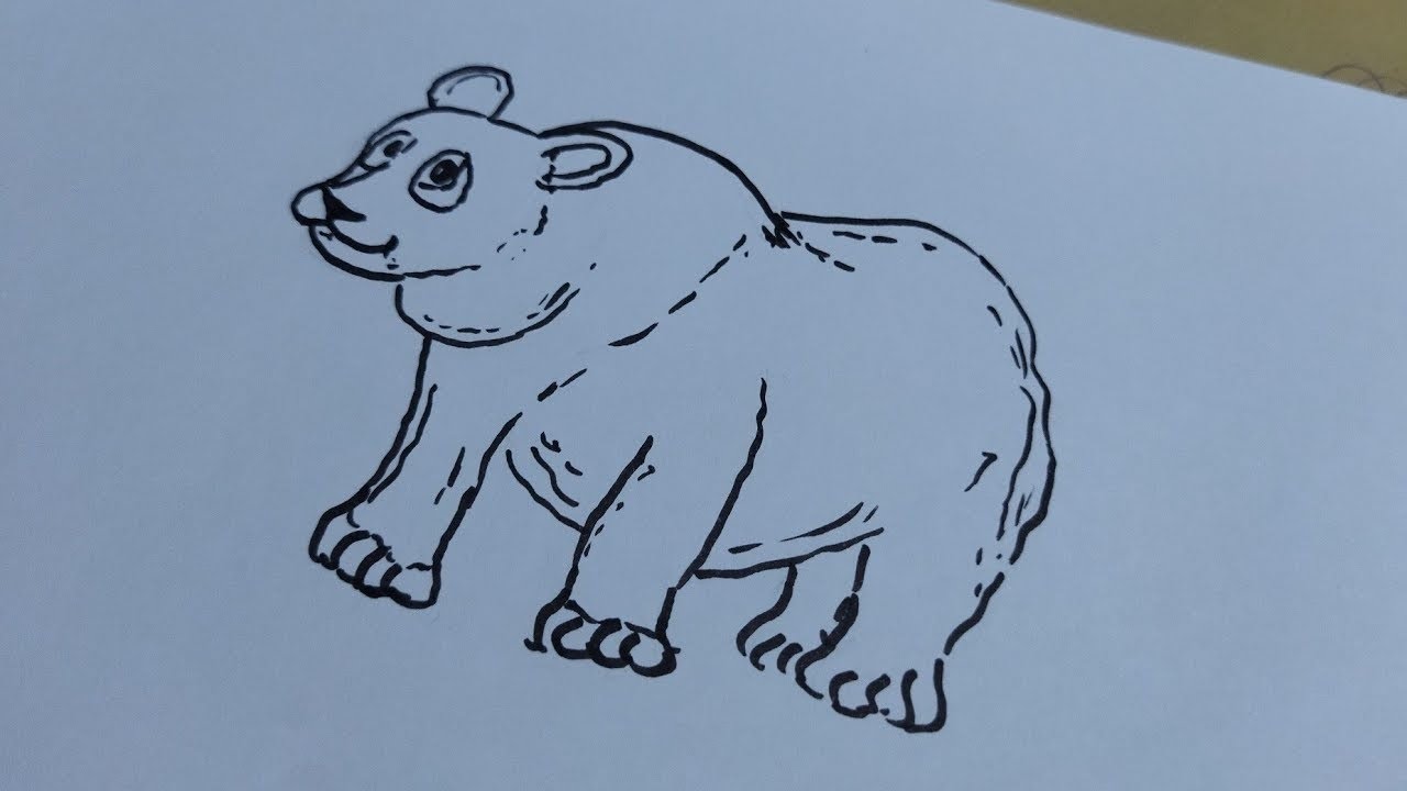 Animal drawing pictures show | Hari Arts animals drawing show | arts ...