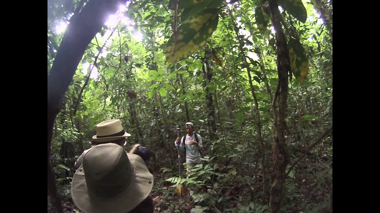 Walking through the Amazon Rainforest in Peru - G Adventures - YouTube