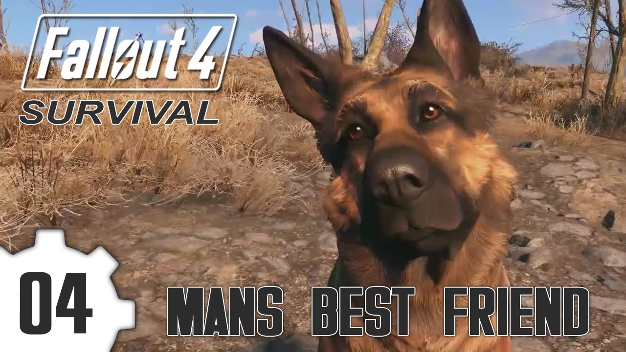 Fallout 4: Mans Best Friend #4 [ Survival ] - YouTube