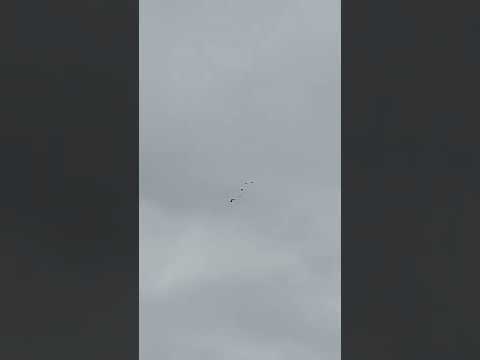 YENİ BALA GÖYƏRÇİN UÇUŞU