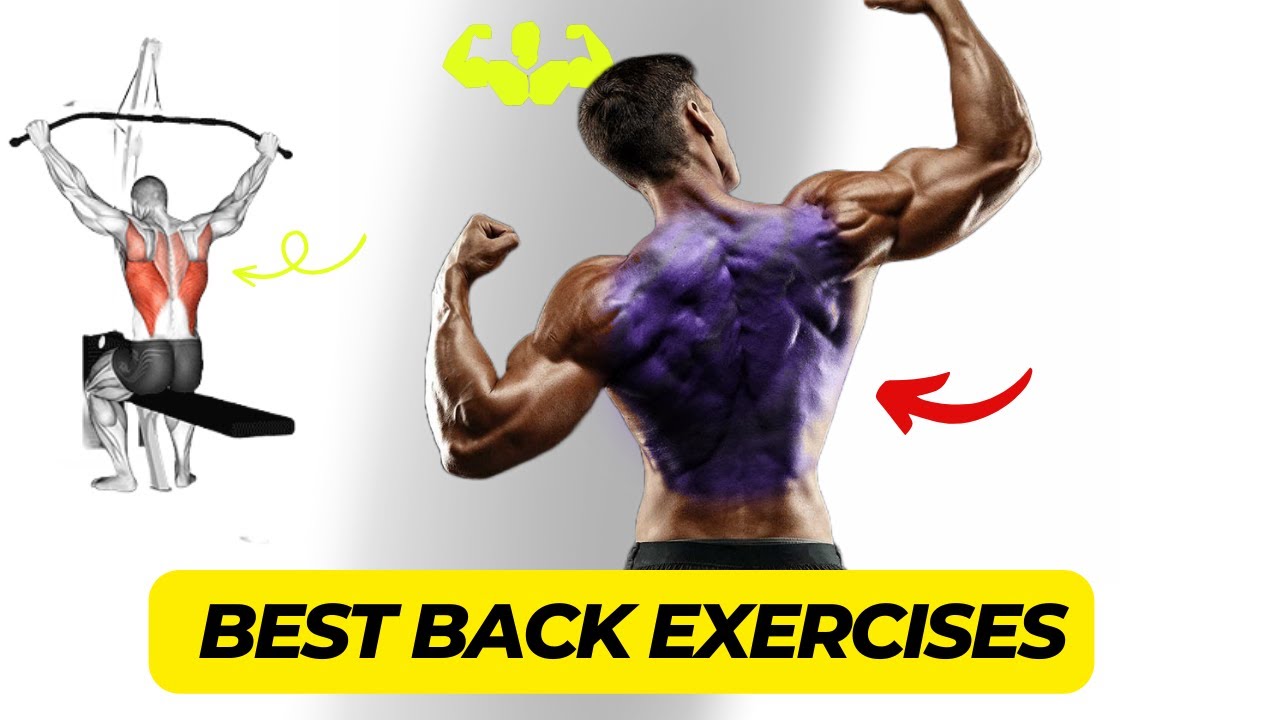 The 6 Back Exercises That You Need To Know for Thicker Back - YouTube