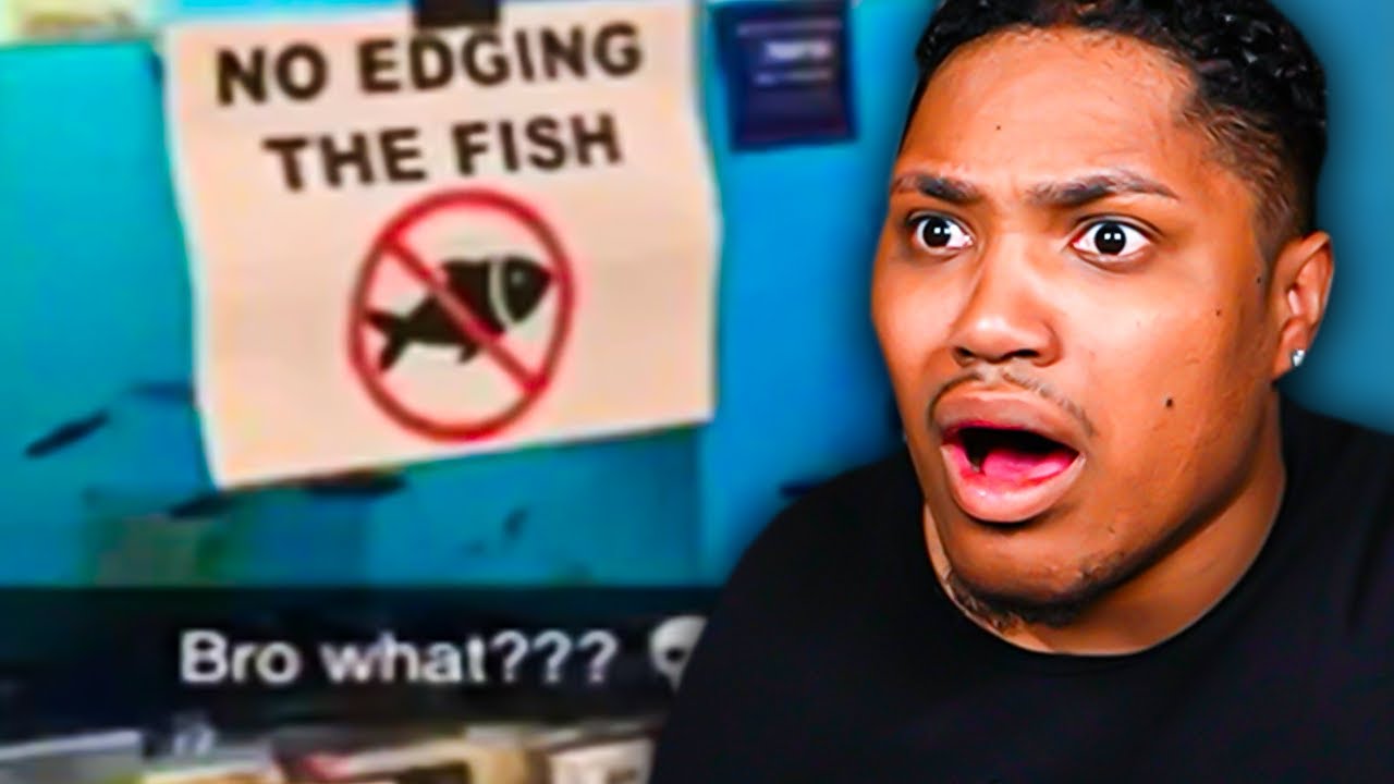 Memes but you laugh you edge - YouTube