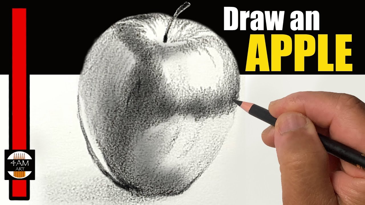 How to Draw an Apple in Pencil, Step by Step - YouTube