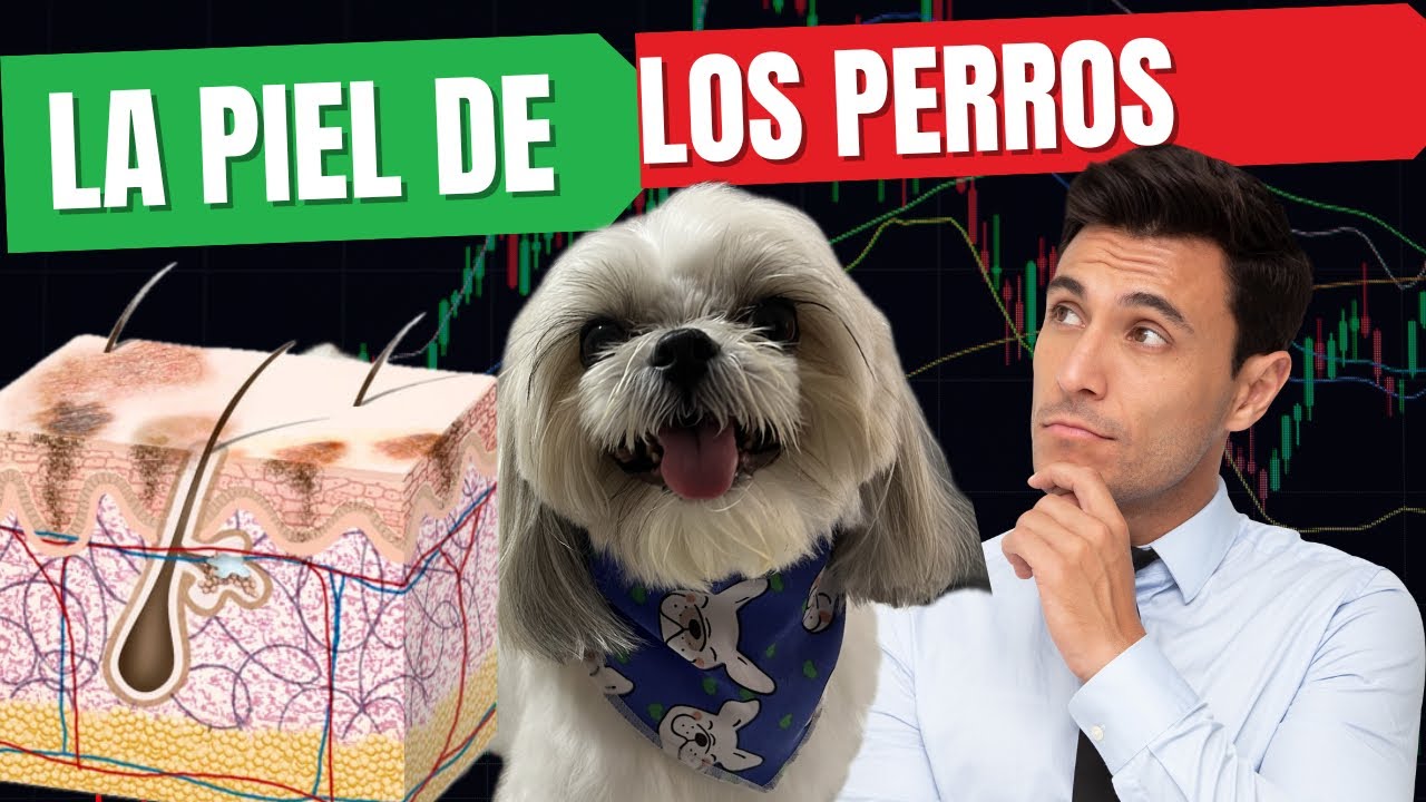 LA PIEL DE LOS PERROS - YouTube