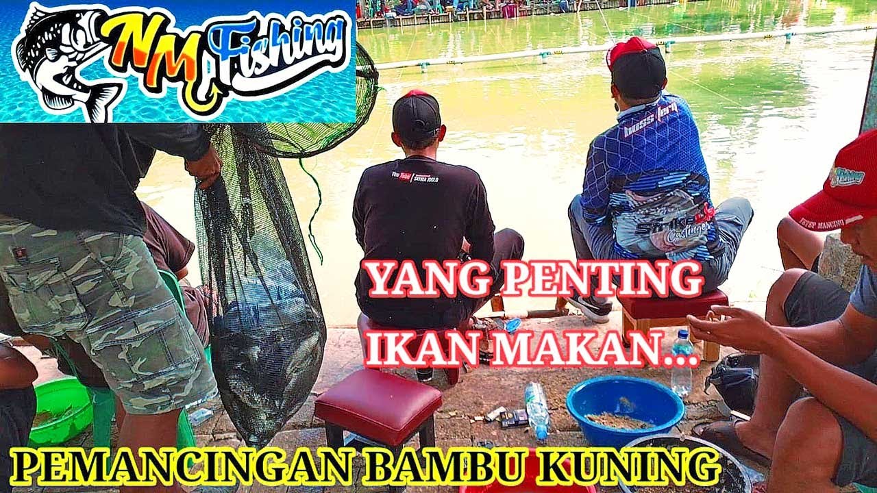 JUARA TOTAL IKAN SEKOLAM DI PEMANCINGAN BAMBU KUNING - YouTube