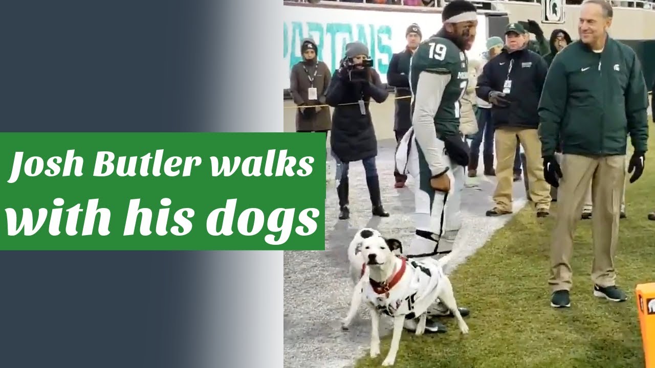 Michigan State CB Josh Butler walks out with his dogs on Senior Day ...