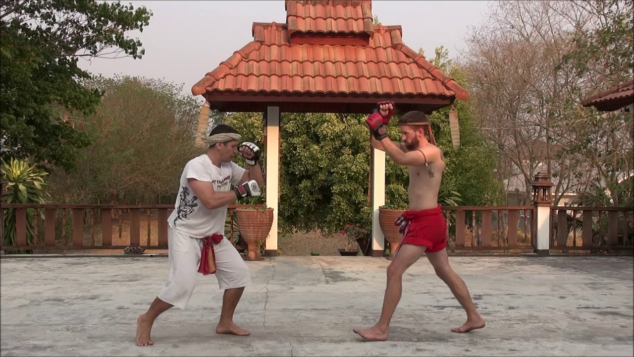 Rear Front Kick Technique # 6 - YouTube