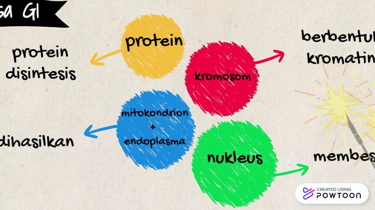 BIOLOGI TINGKATAN 4: KITAR SEL DAN MITOSIS - YouTube