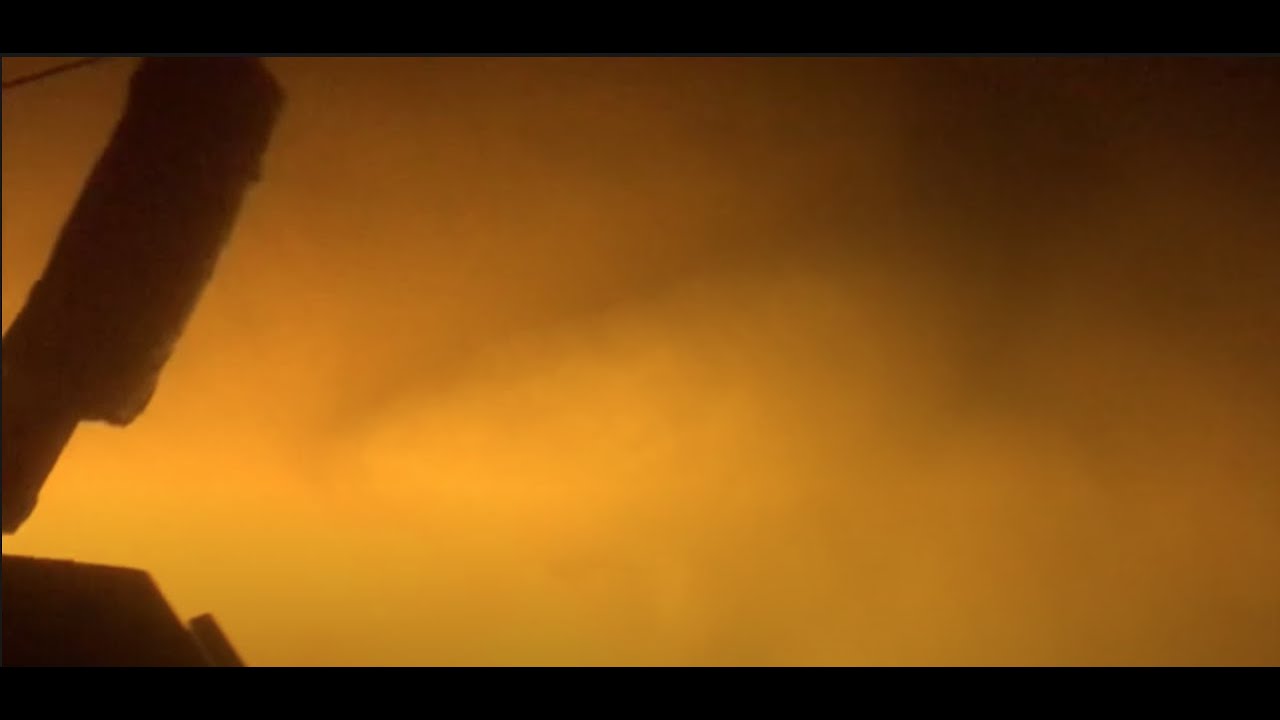 Manatees at Night in Orange Beach Alabama! - YouTube