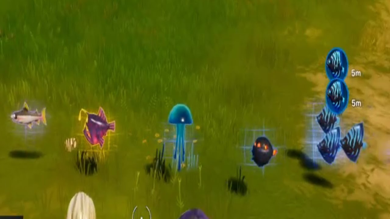 TOUT LES NOUVEAU POISSON DANS FORTNITE PLUS LES POUVOIRS (5 POISSON ...